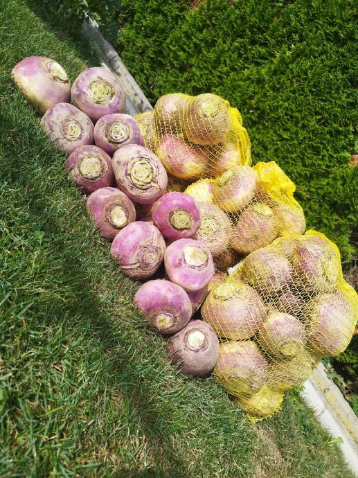 Repa za kiseljenje 8e/10kg!Opet dostupno krajem 10 mj