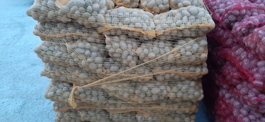 Sjemenski krumpir Bellarosa i Arizona