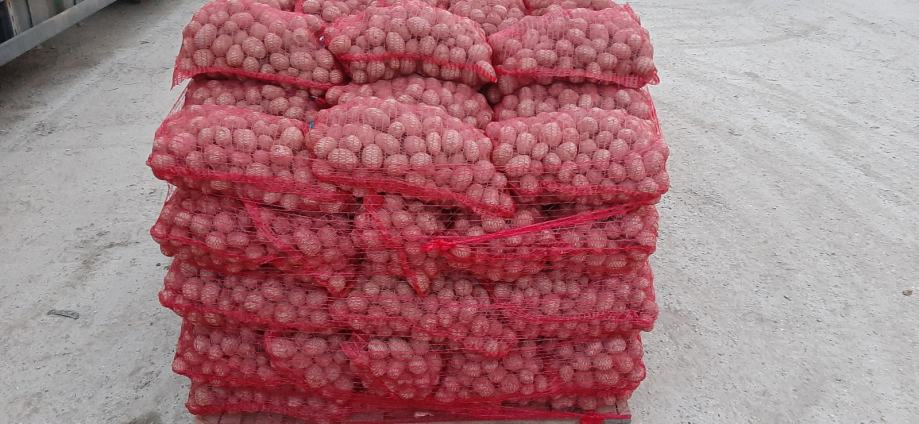 Sjemenski krumpir Bellarosa i Arizona