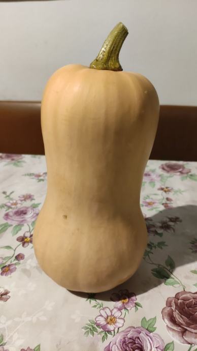 Tikva BUTTERNUT muškatna, puter