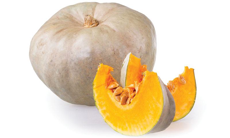 Tikva PRINČEVA KRUNA stambolka