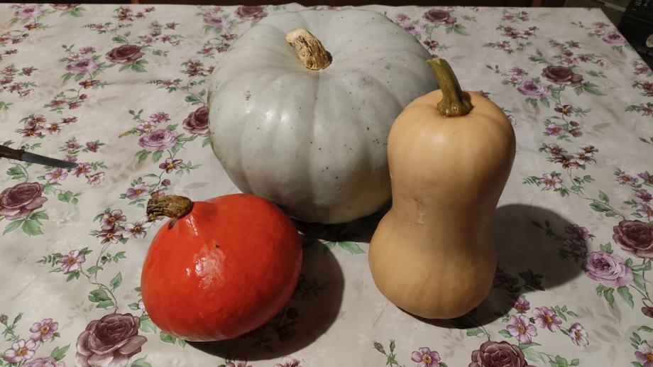 Tikva PRINČEVA KRUNA stambolka