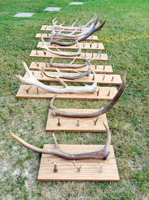 Vješalice od rogova