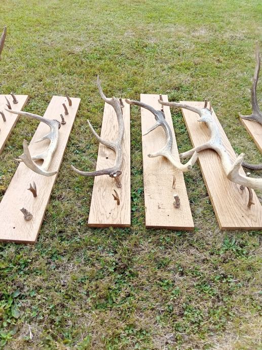 Vješalice od rogova