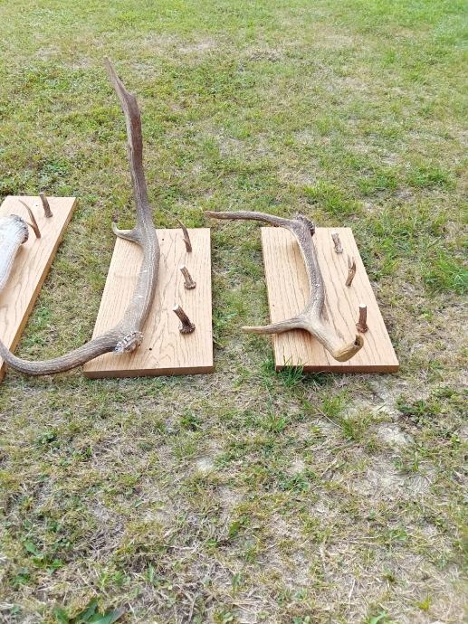 Vješalice od rogova