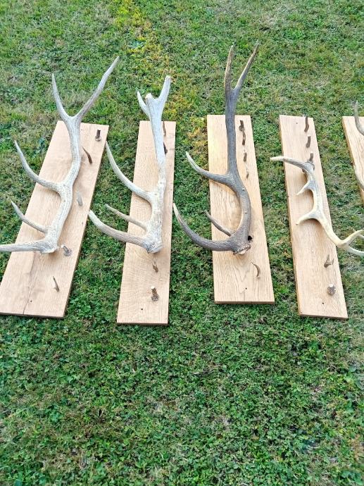 Vješalice od rogova