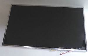 15.4 Laptop LCD Screen AU Optronics B154EW08 V.1,30 pinski + inverter