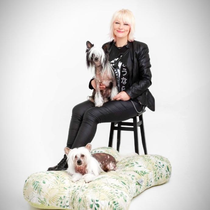 KINESKI KUKMASTI PAS~CHINESE CRESTED DOG~VRHUNSKO LEGLO ~HKS RODOVNIK