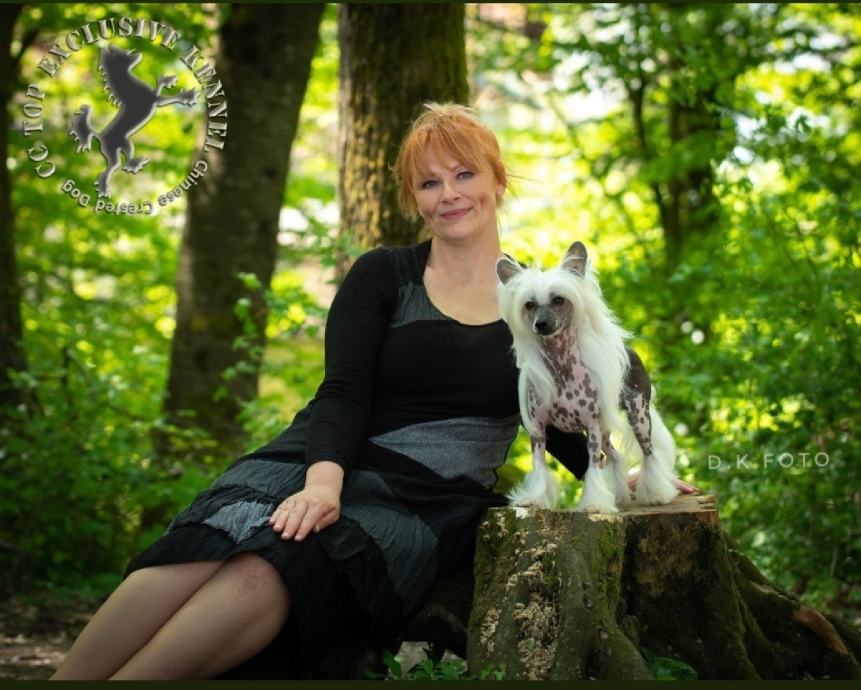 KINESKI KUKMASTI PAS~CHINESE CRESTED DOG~VRHUNSKO LEGLO ~HKS RODOVNIK