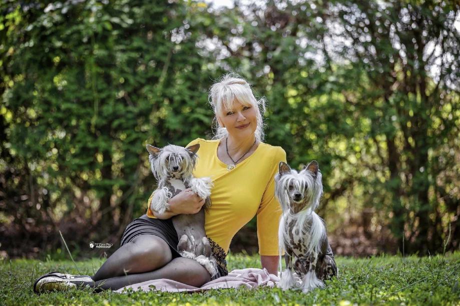 KINESKI KUKMASTI PAS~CHINESE CRESTED DOG~VRHUNSKO LEGLO ~HKS RODOVNIK