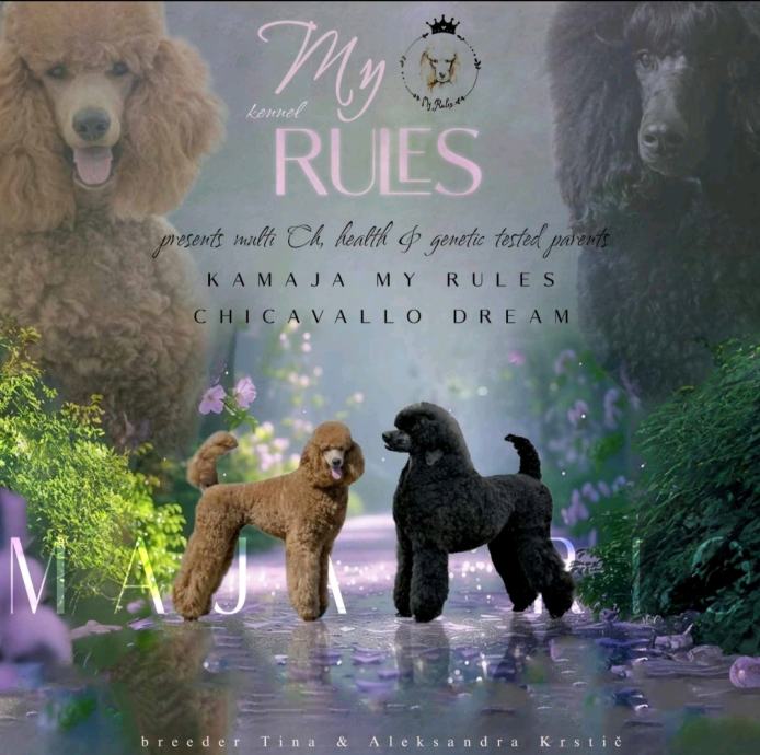 VELIKA-KRALJEVA PUDLA