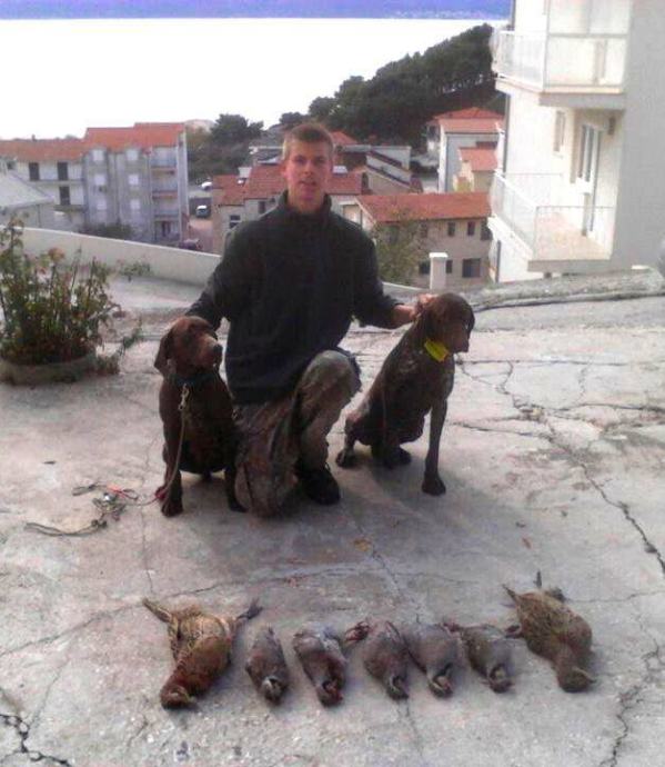 Njemački kratkodlaki ptičar