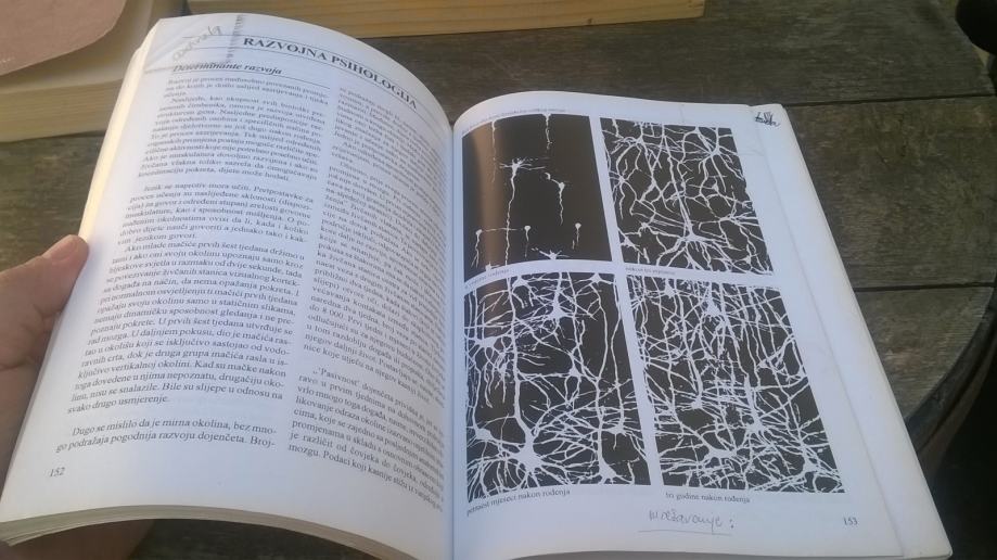 PSIHOLOGIJA MARIA FURST ŠKOLSKA KNJIGA 1995.