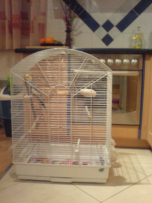 Papiga Nimfa i krletka