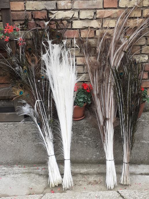 Prodajem repove od pauna