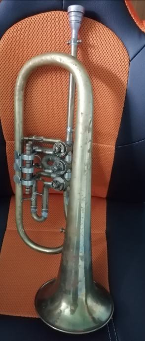 Amati starija Krilnica sa 1 1/2 F Amati usnikom