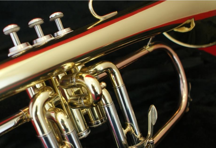 Krilnica CANORUS FH501