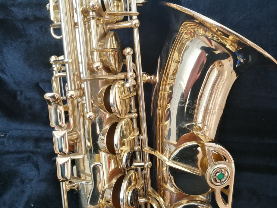Saksofon ALT Sakkusu *POSTOJI DOGOVOR OKO CIJENE*