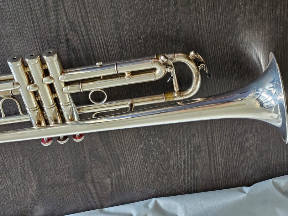 Truba Schagerl Apollo