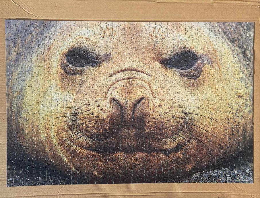 BBC Earth puzzle / slagalica 1000 komada