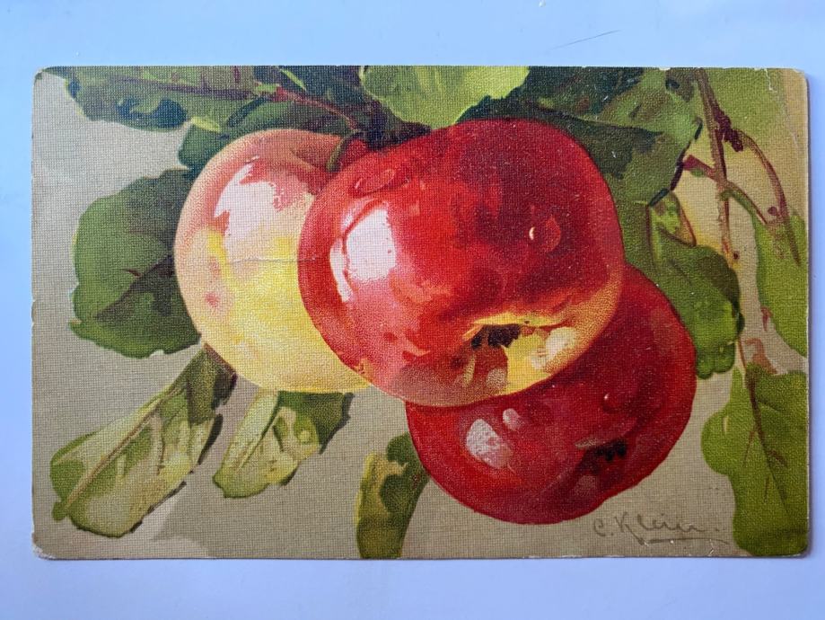 Catherine Klein - Apple Painting
