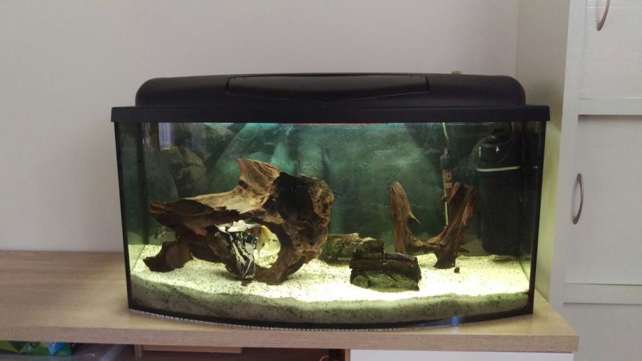 Akvarij 100l sa svom opremom i ribicama