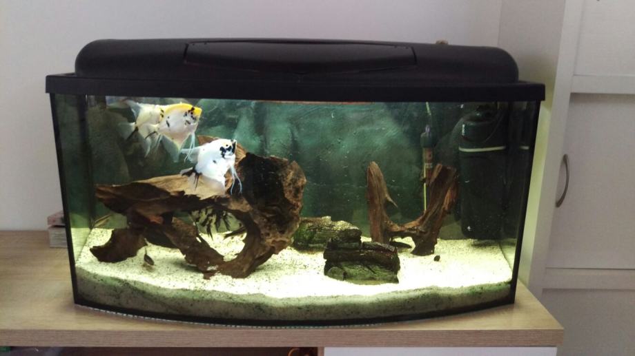 Akvarij 100l sa svom opremom i ribicama