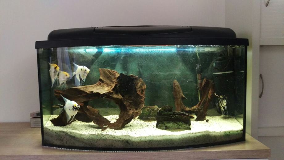 Akvarij 100l sa svom opremom i ribicama