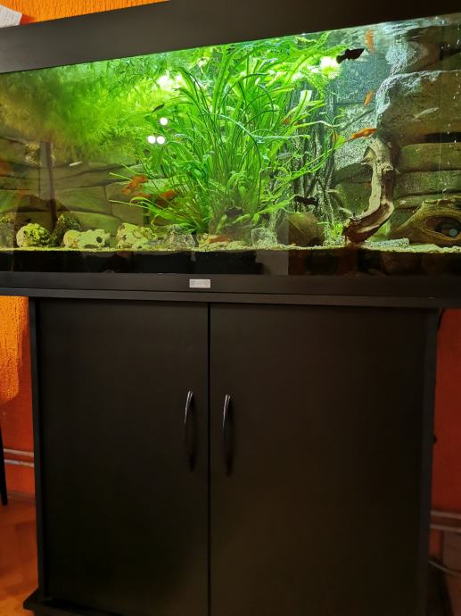Akvarij Juwel 200L