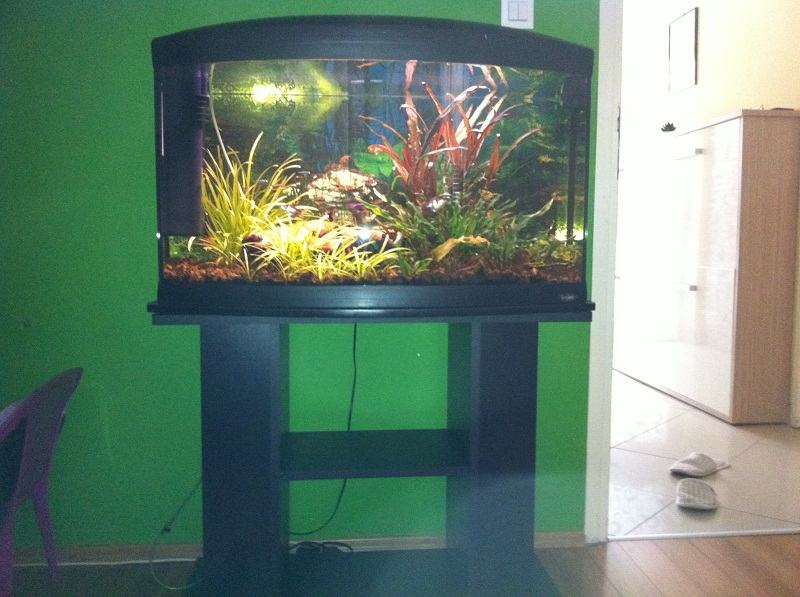 akvarij