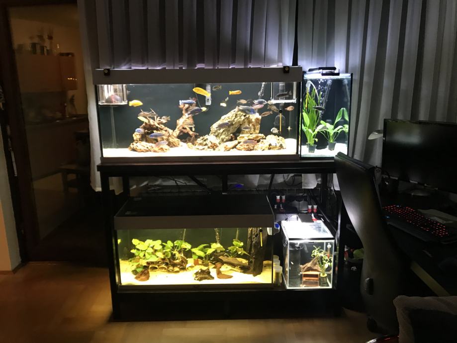 Akvariji sa ribicama