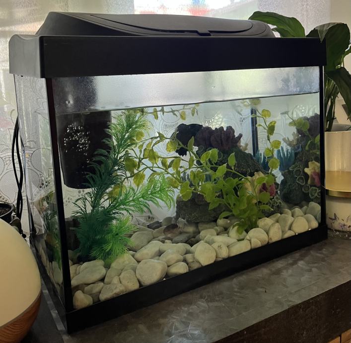 Tetra akvarij s ribicama 30L