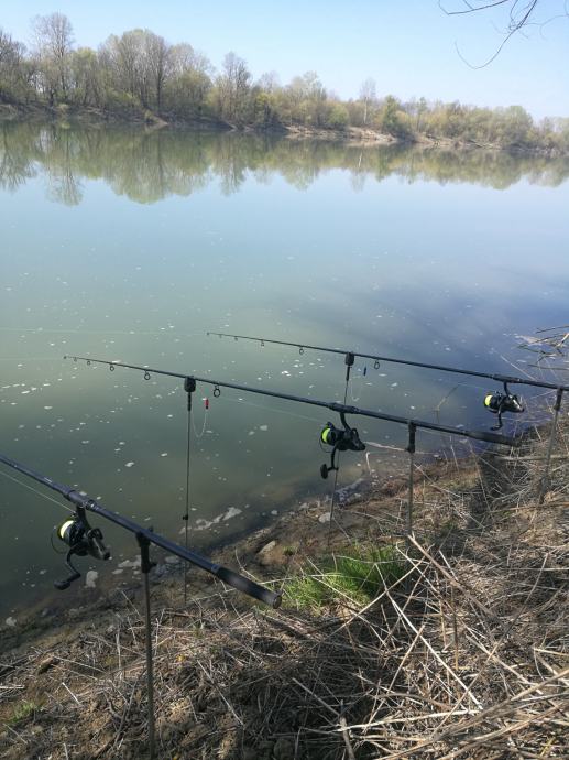 Cormoran pro carp black 3lb.360 cm