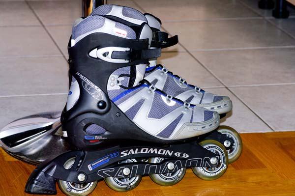SALOMON Role