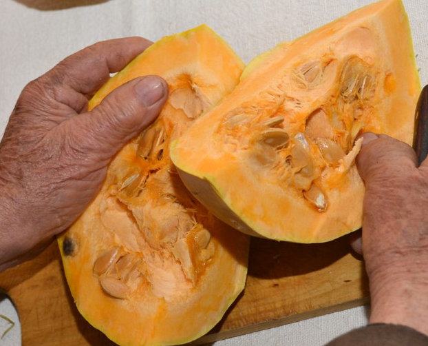 Bundeva turkinja / Pečenica - Misirka / Domaće sjeme