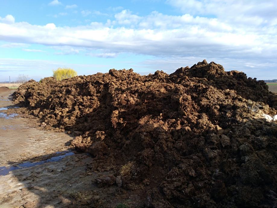 STAJNJAK GOVEĐI SVJEŽI