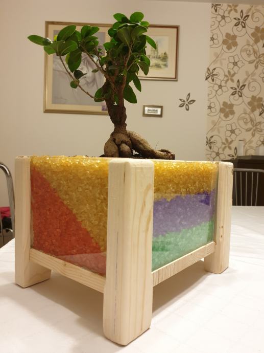 IKEA BONSAI BONZAI DRVO FICUS GINSEG