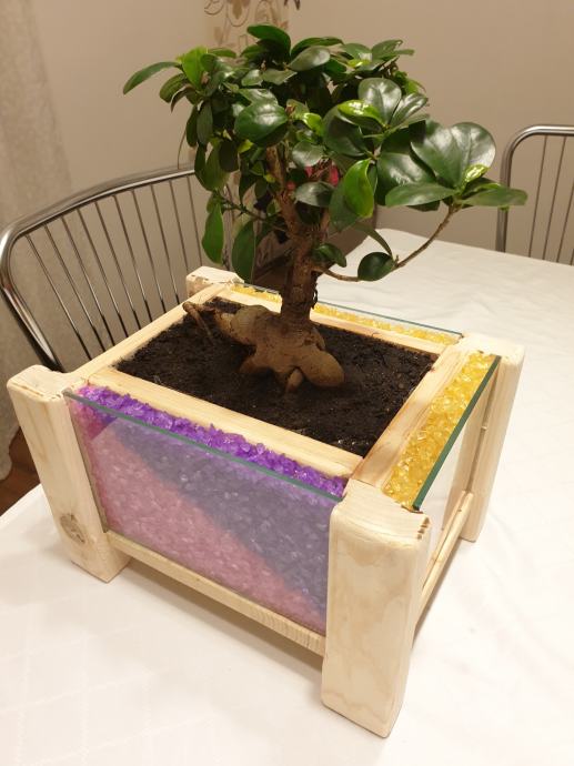 IKEA BONSAI BONZAI DRVO FICUS GINSEG