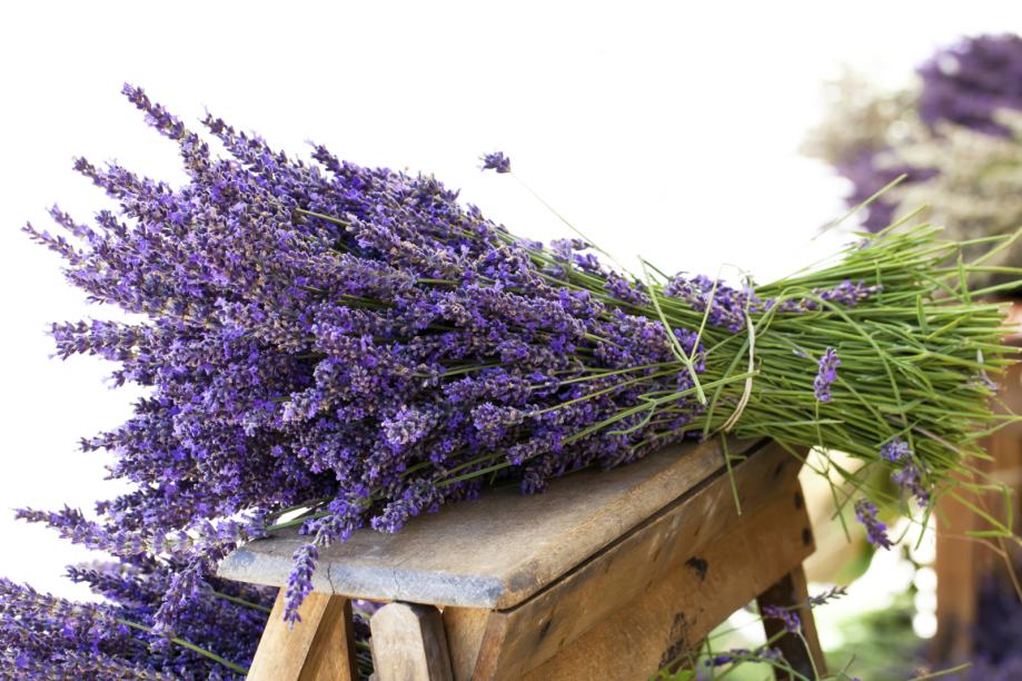 LAVANDA - SUHI CVIJET IZ EKOLOŠKOG UZGOJA 100 kn/ kg