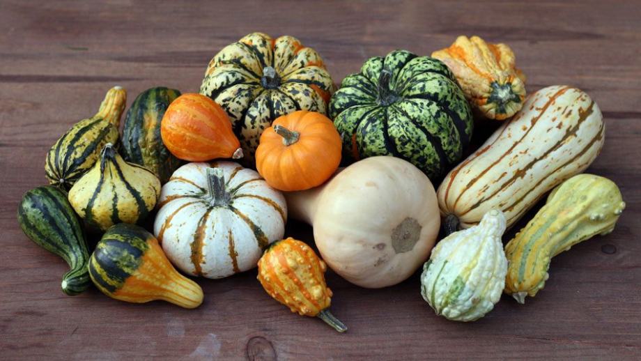 Tikvica ukrasni mix / Domaće sjeme