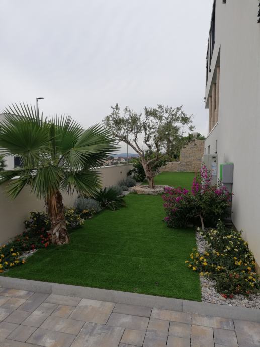 Palme sadnice