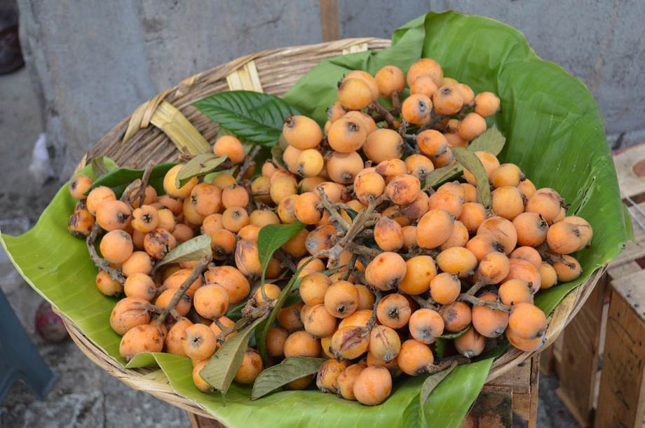 Prodajem sadnice Nešpule