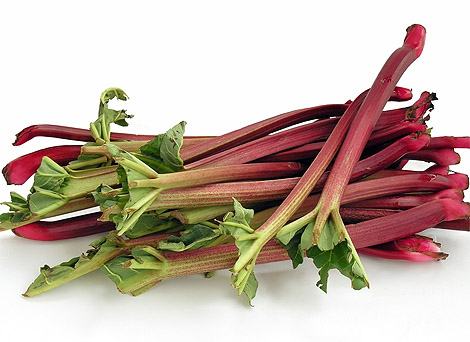 RABARBARA - Rheum rhabarbarum - sadnice