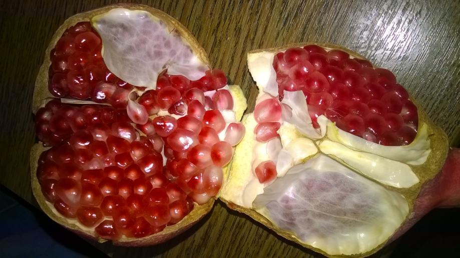 SADNICE ŠIPKA (NARA)