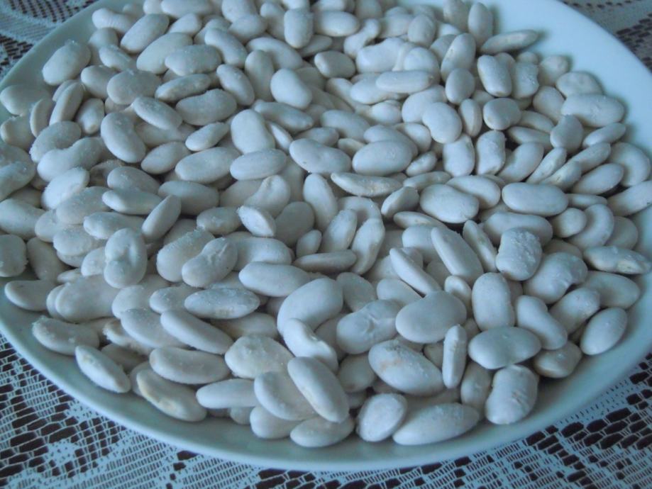 Sjemenski grah visoki tetovac (kukuruzar)