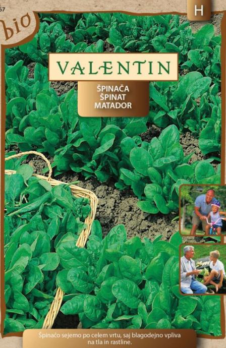 ŠPINAT - SJEME S EKOLOŠKIM CERTIFIKATOM