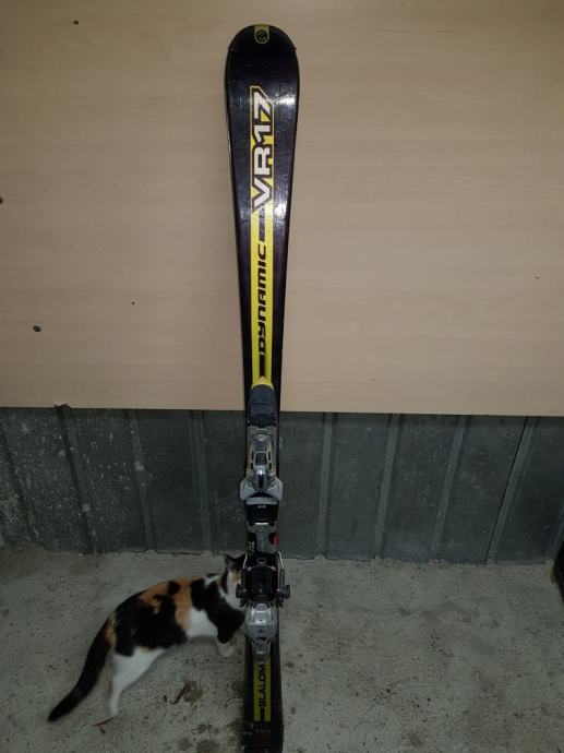 Skije Dynamic VR17