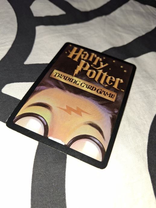 Harry Potter *Human Chess Game* 2001.g.