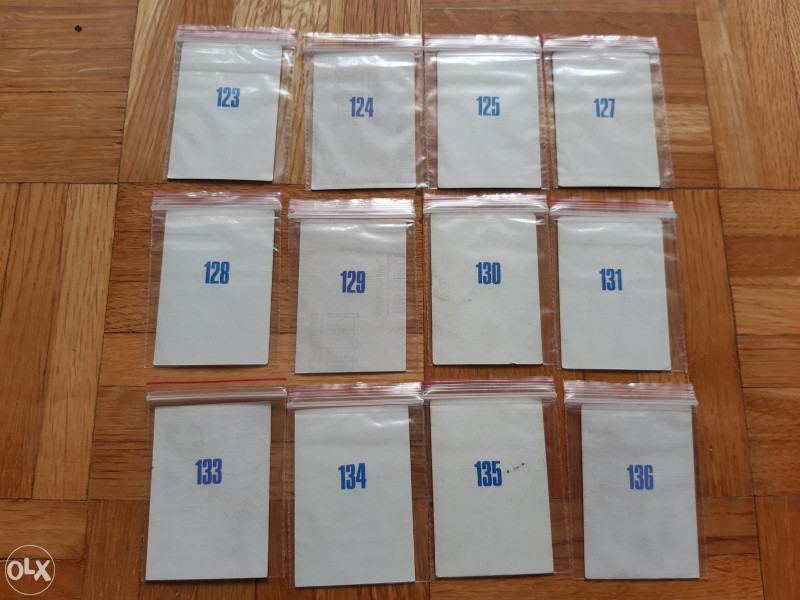 NK Dinamo Zagreb Fudbaleri i timovi 1974/75