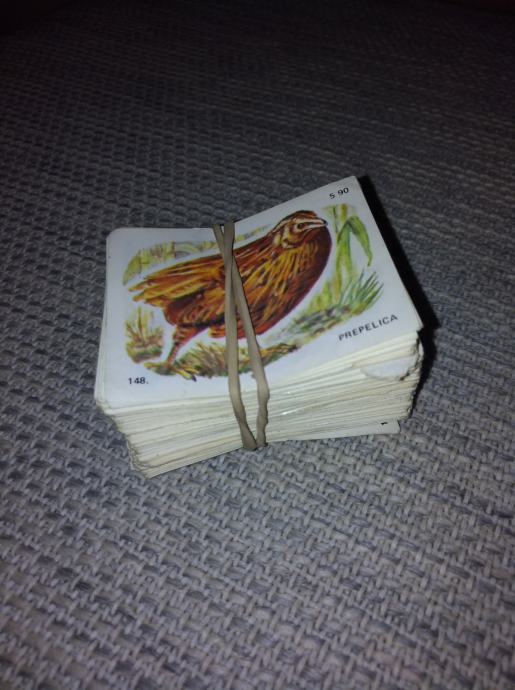 Slicice Zivotinjsko carstvo